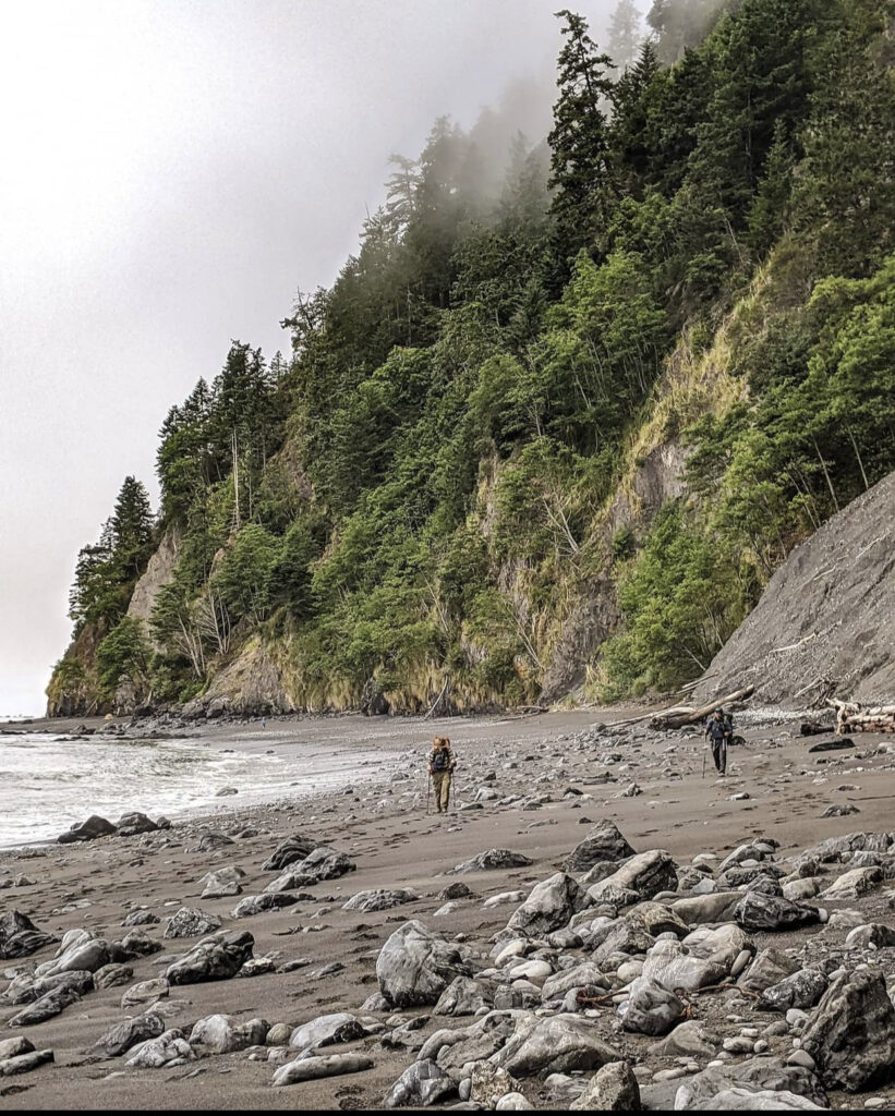Lost Coast - Nature Bloomers